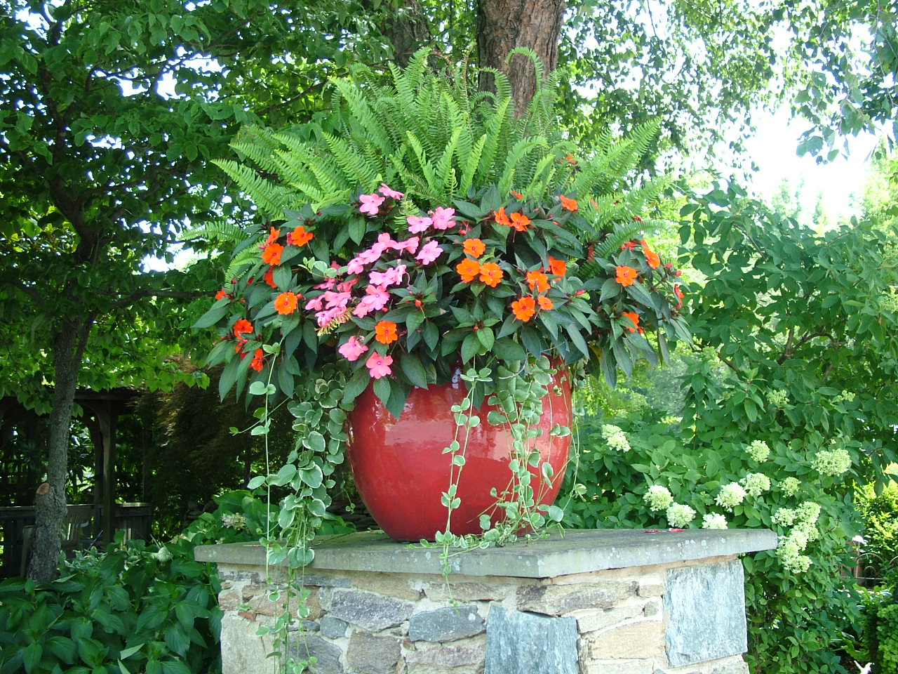 Vinca Vine Container